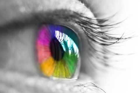 Que savez-vous de la vision des couleurs ? | Carte Blanche